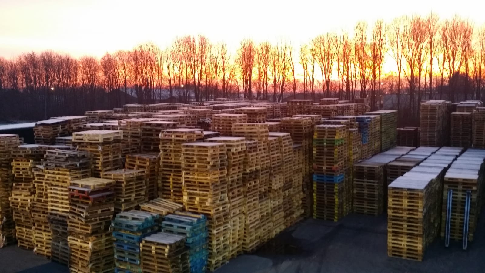 Online-Pallets - Over Ons